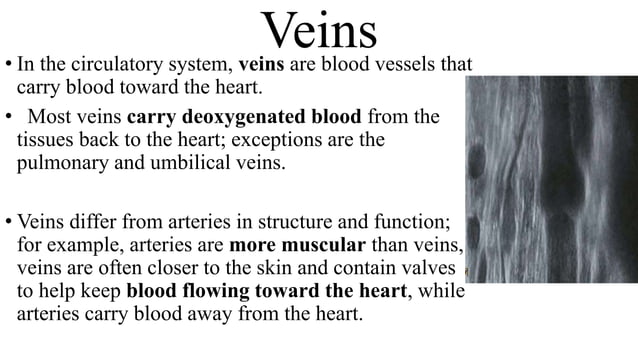 Venography | PPTX | Heart and Cardiovascular Diseases | Diseases and ...