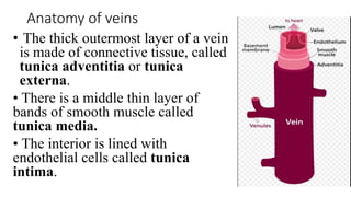 Venography | PPTX