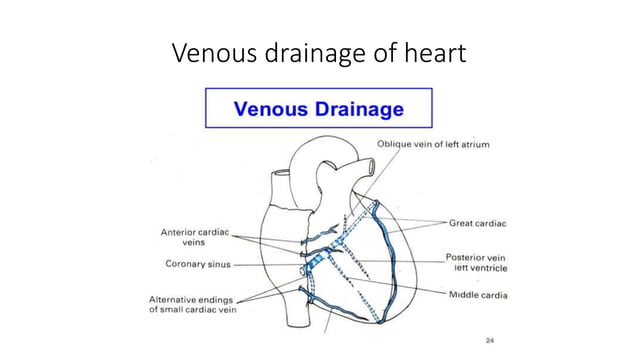 Venography | PPTX | Heart and Cardiovascular Diseases | Diseases and ...