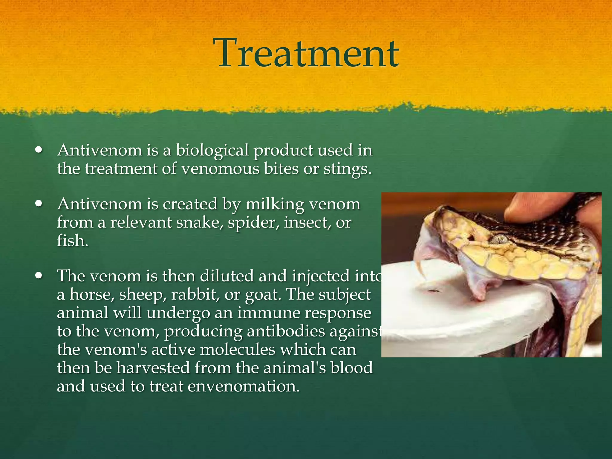 Venom. garcia, kunz, meraou | PPT