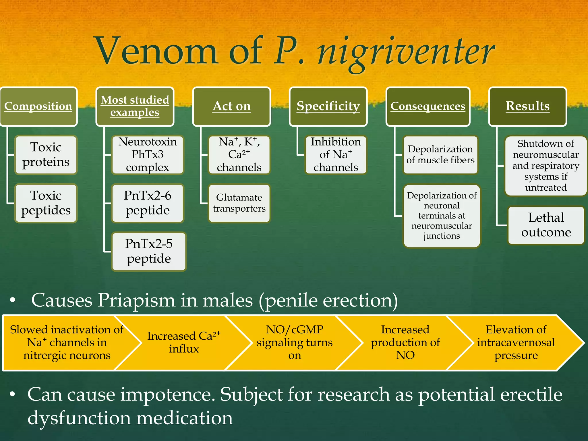 Venom. garcia, kunz, meraou | PPT