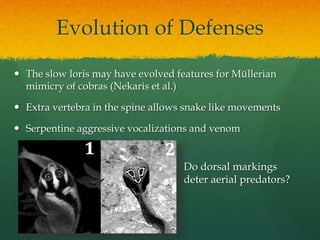 Venom. garcia, kunz, meraou | PPT