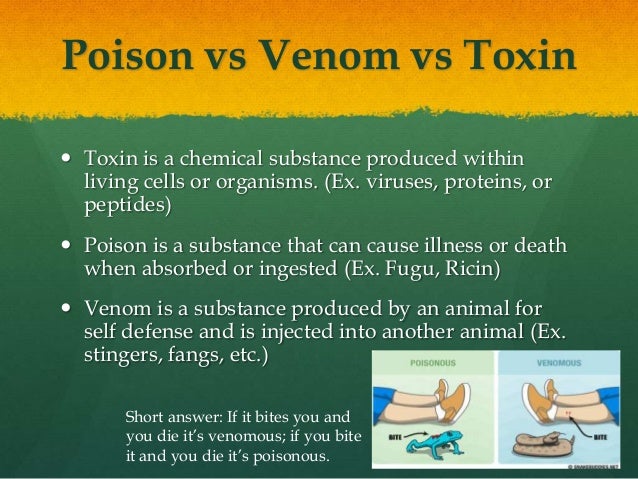 Venom. garcia, kunz, meraou