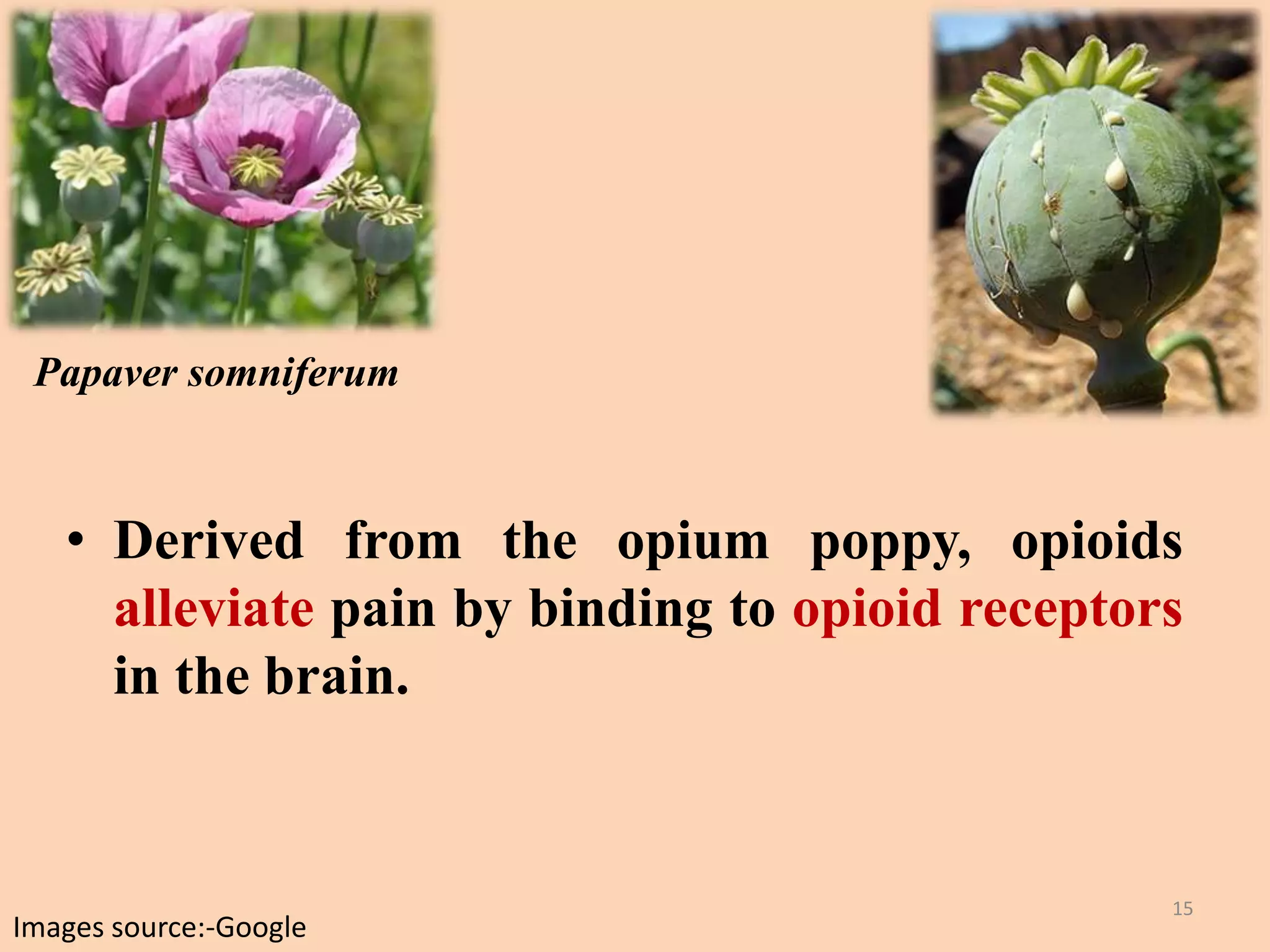 Venom as medicine - Deadly venom could help cure diseases !!! | PPTX