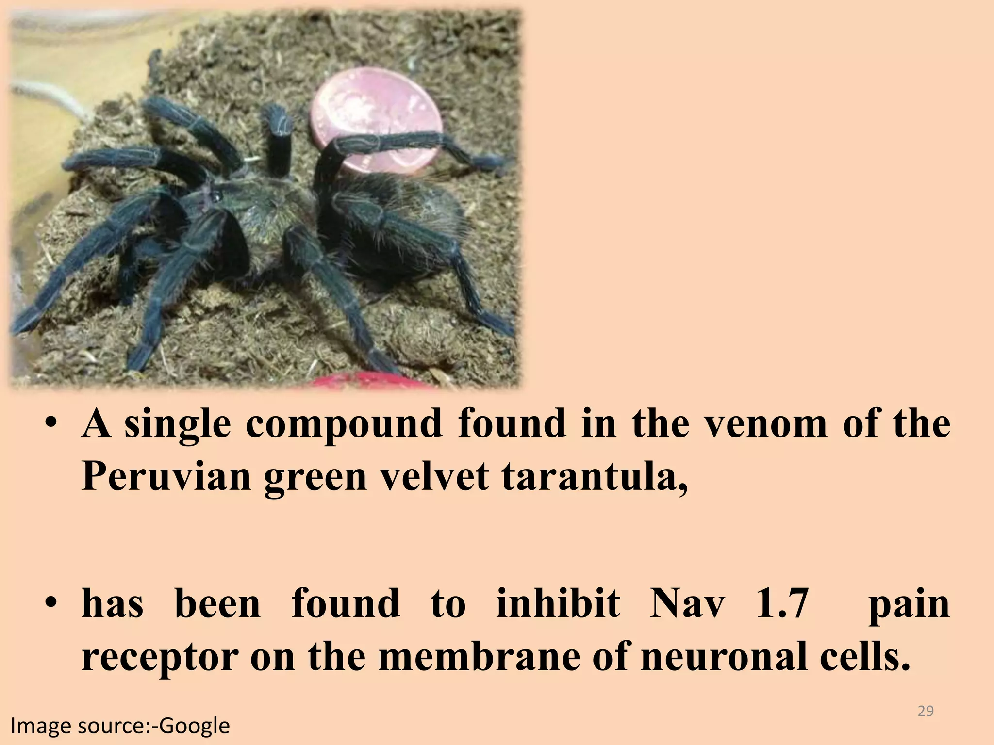 Venom as medicine - Deadly venom could help cure diseases !!! | PPTX