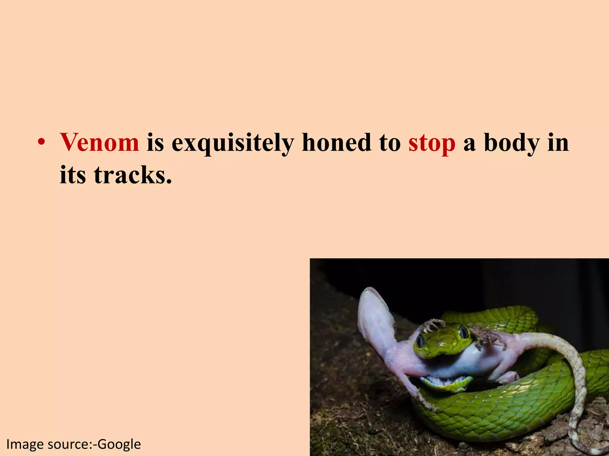 Venom as medicine - Deadly venom could help cure diseases !!! | PPTX