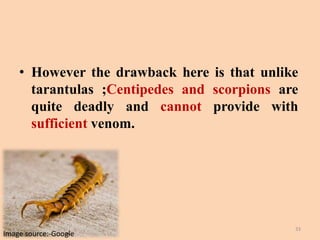 Venom as medicine - Deadly venom could help cure diseases !!! | PPTX