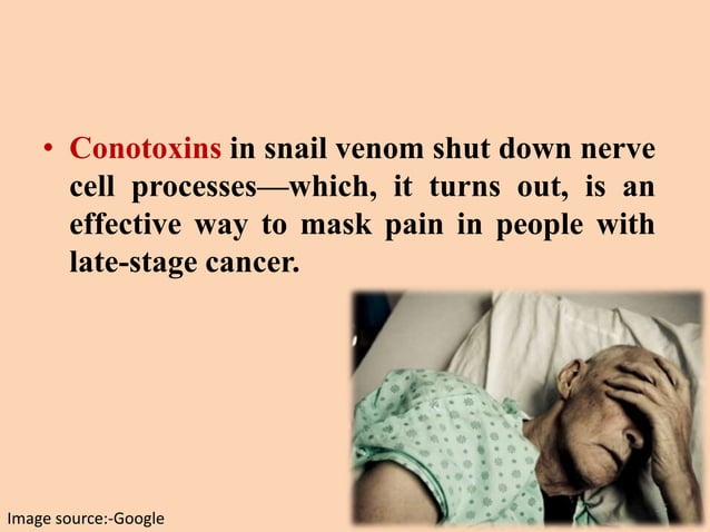 Venom as medicine - Deadly venom could help cure diseases !!! | PPT