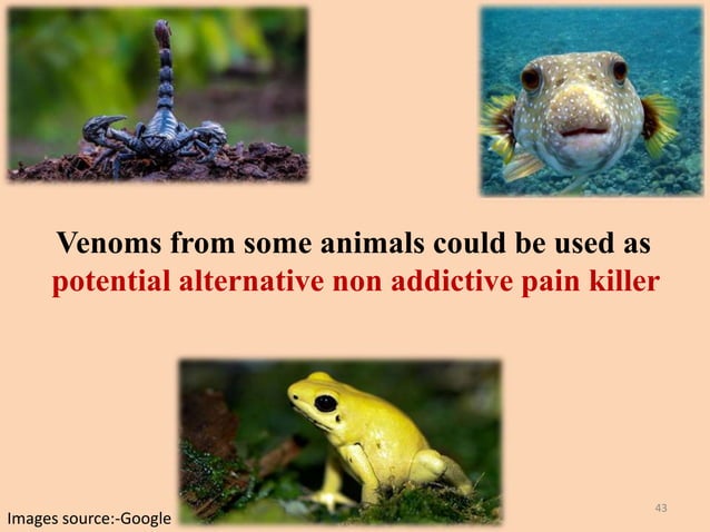 Venom as medicine - Deadly venom could help cure diseases !!! | PPT