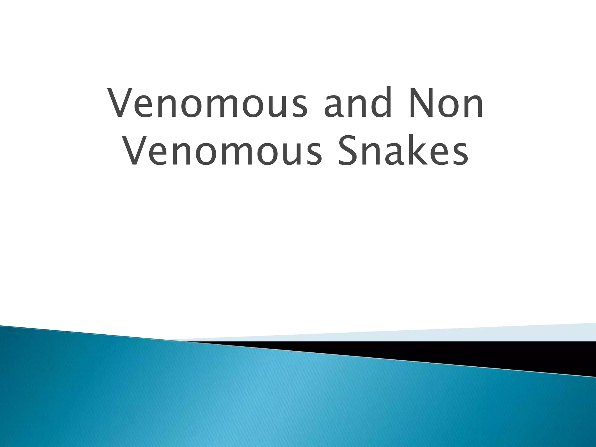 Venomous and non venomus snakes | PPTX | Blood Disorders | Diseases and ...