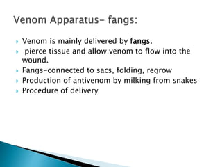 Venomous and non venomus snakes | PPTX