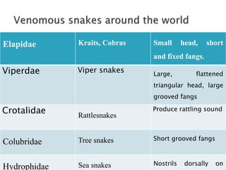 Venomous and non venomus snakes | PPTX