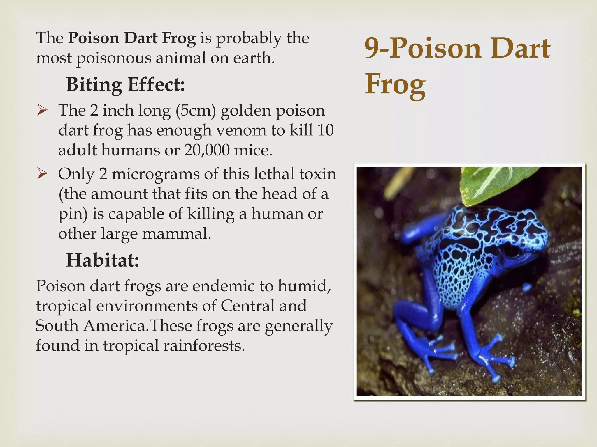 Venomous animals | PPTX