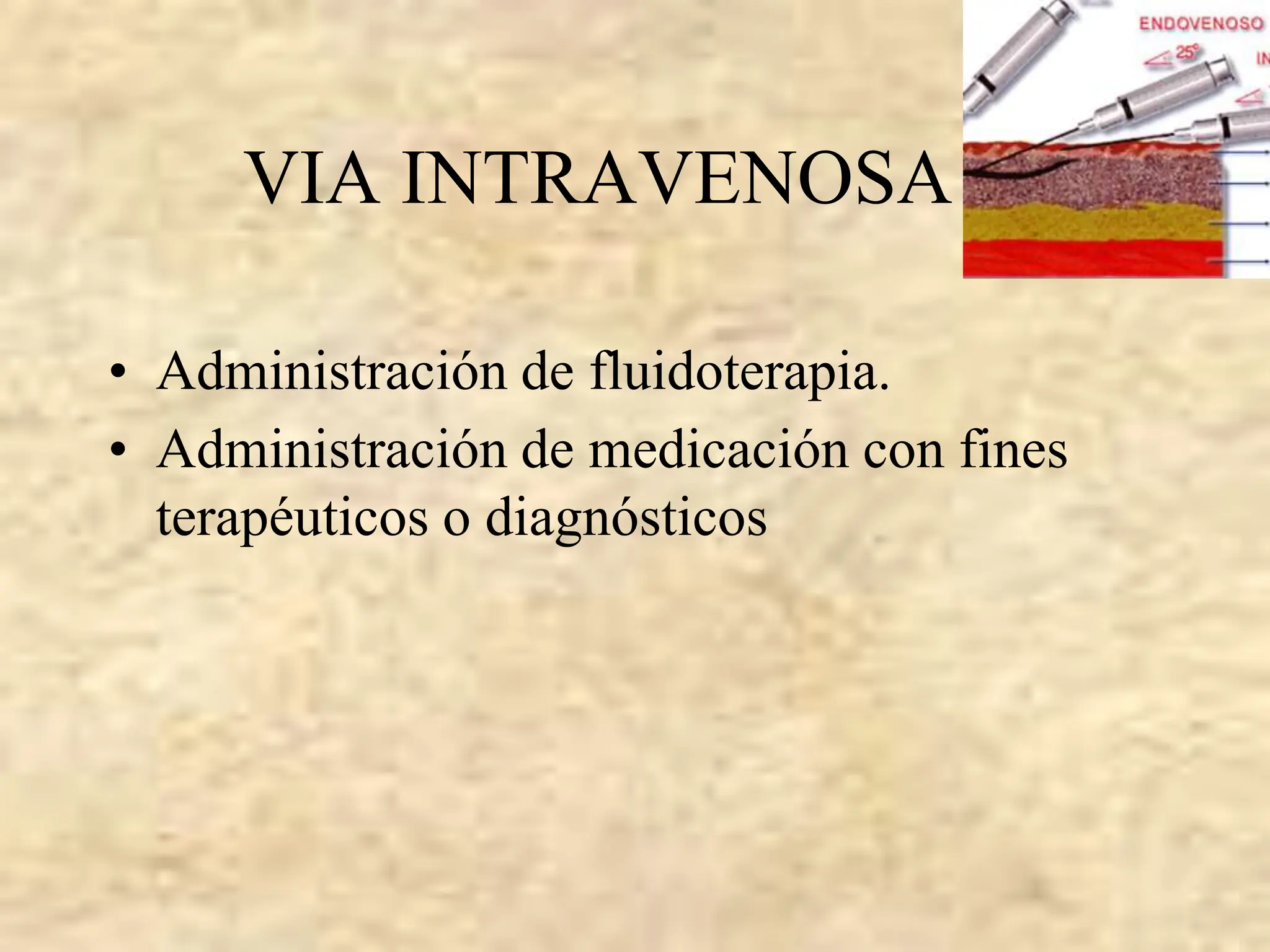GUIA Y PRACTICA DE VENOPUNCION PARA LA SALUD | PPT