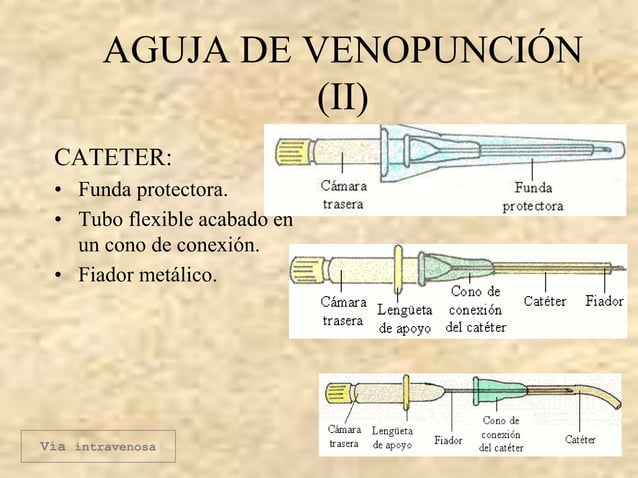 GUIA Y PRACTICA DE VENOPUNCION PARA LA SALUD | PPT