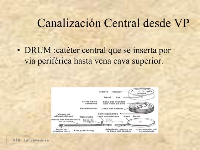 GUIA Y PRACTICA DE VENOPUNCION PARA LA SALUD | PPT