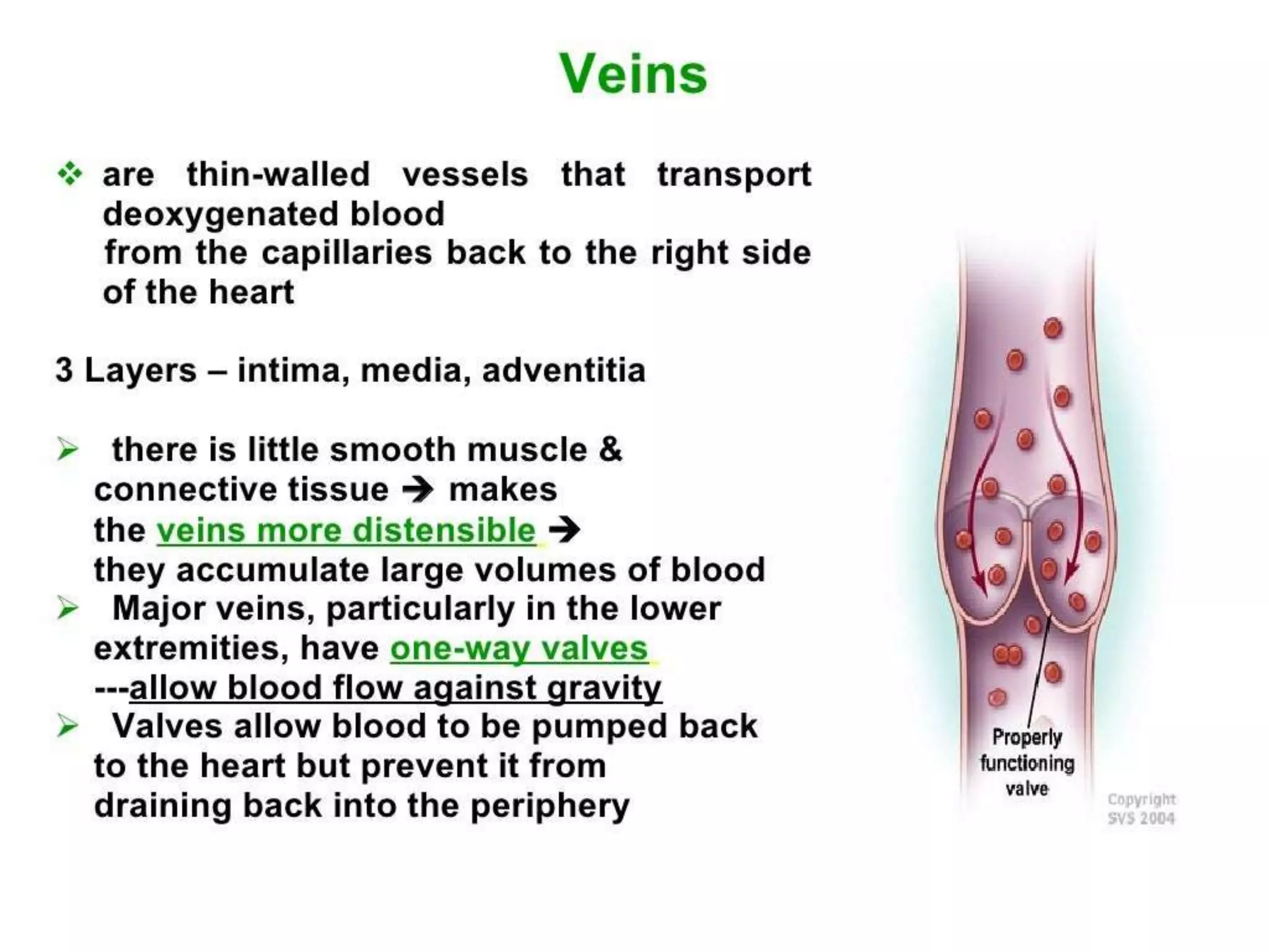 venous-disorders.pptx