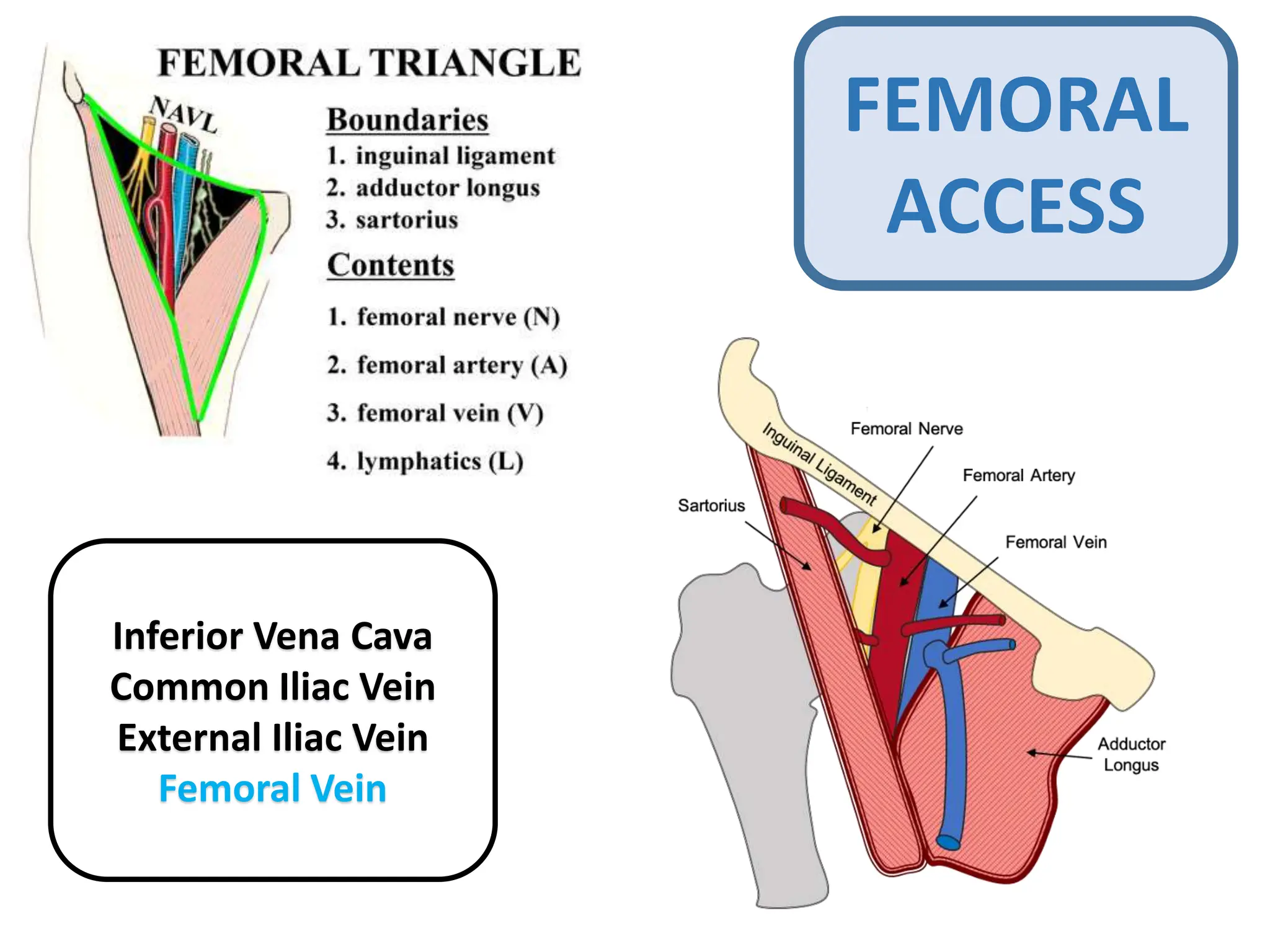 VENOUS ACCESS in CATH-LAB CARDIOLOGY by Syed Fawad Shah Cardiac ...