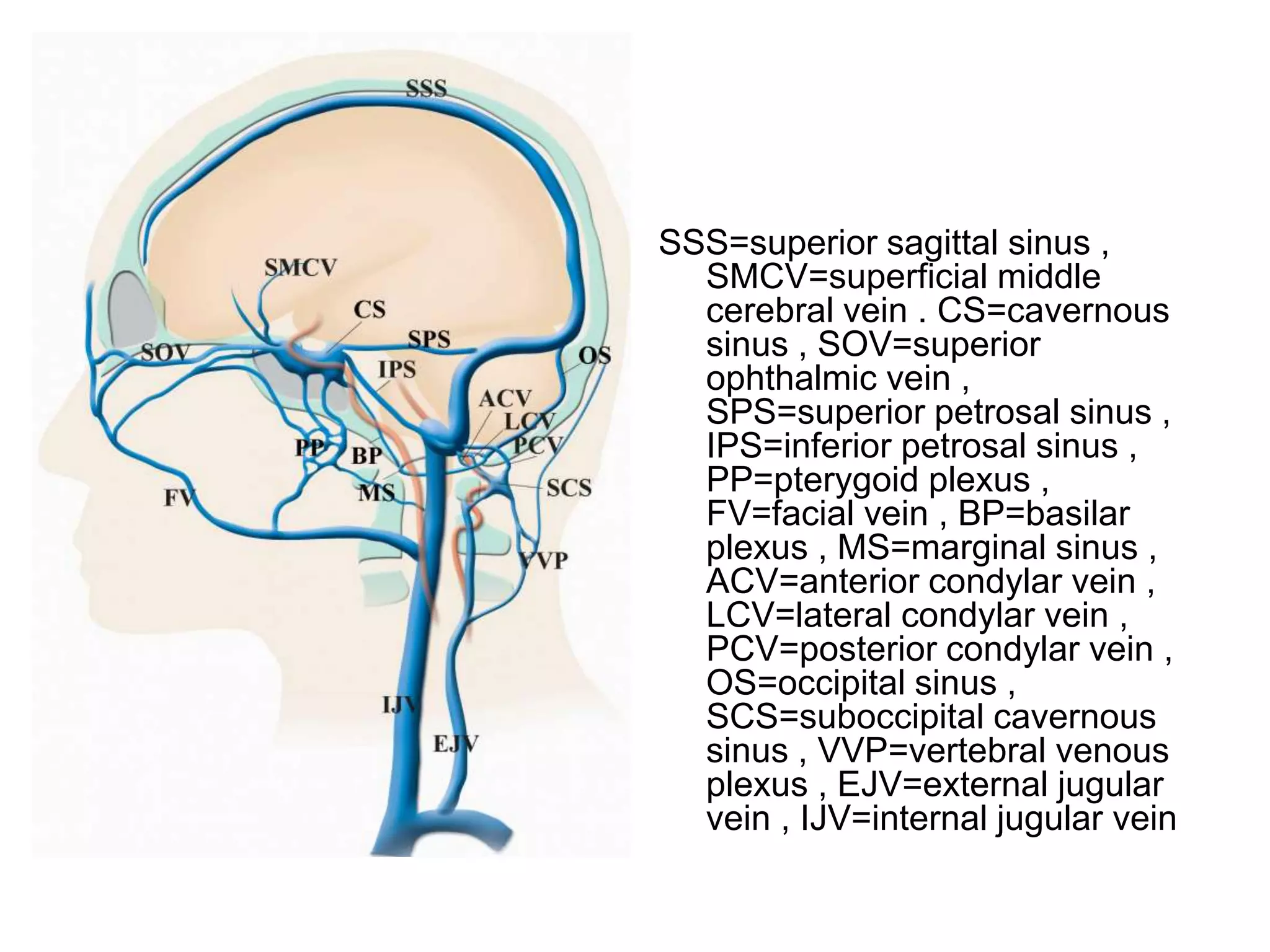 Cerebral Venous anatomy | PPT