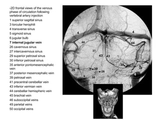 Cerebral Venous anatomy | PPT