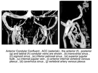 Cerebral Venous anatomy | PPT
