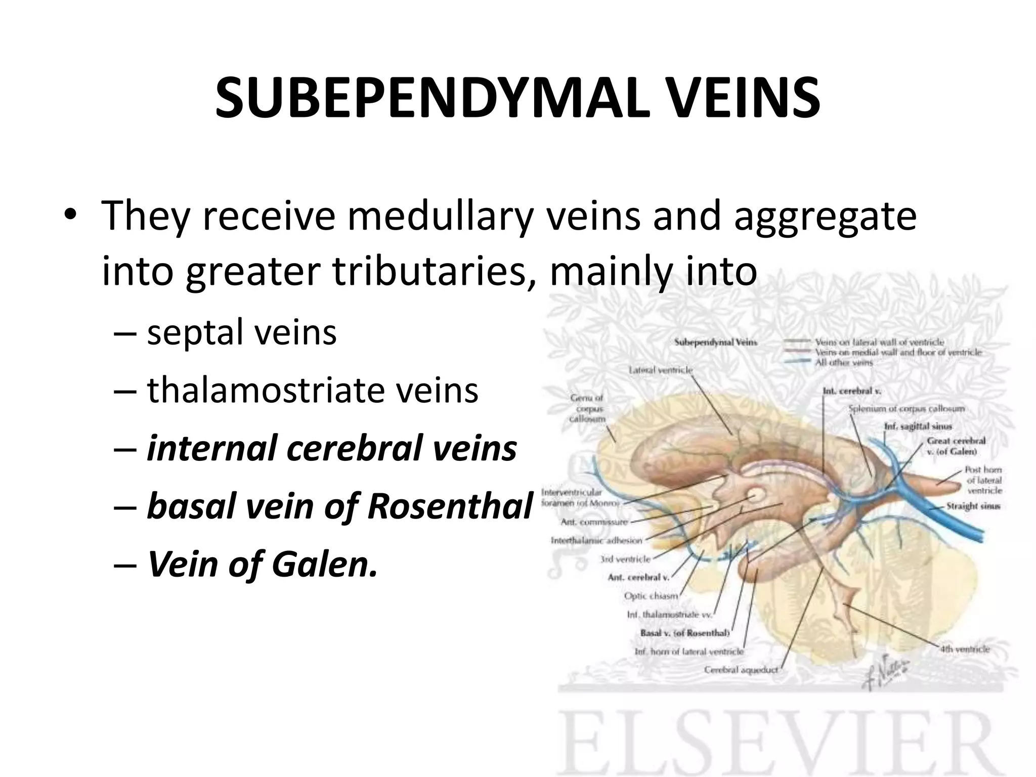 Venous anatomy of brain - Radiology | PPTX