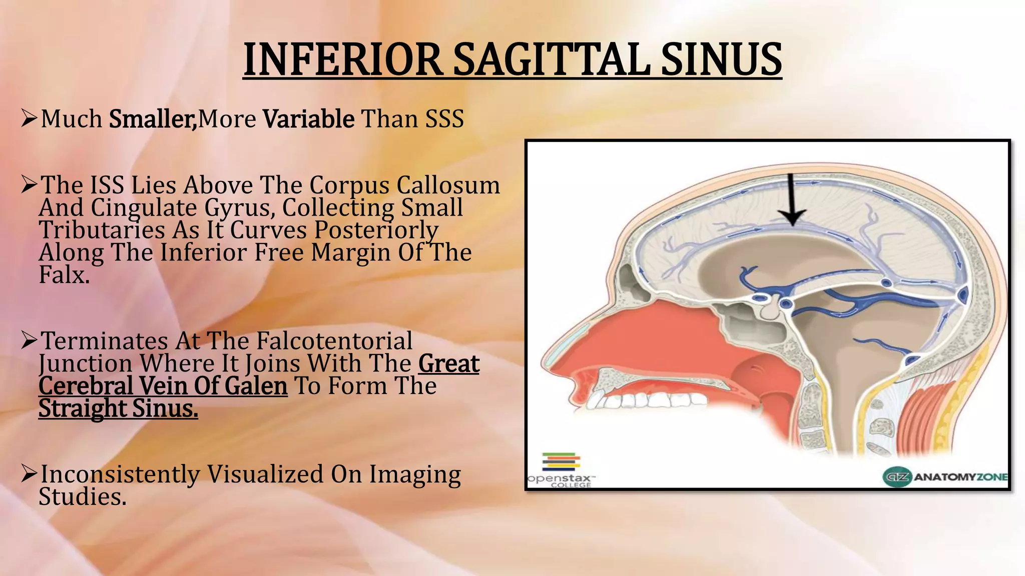 Radiologic Venous Anatomy of Brain | PPTX