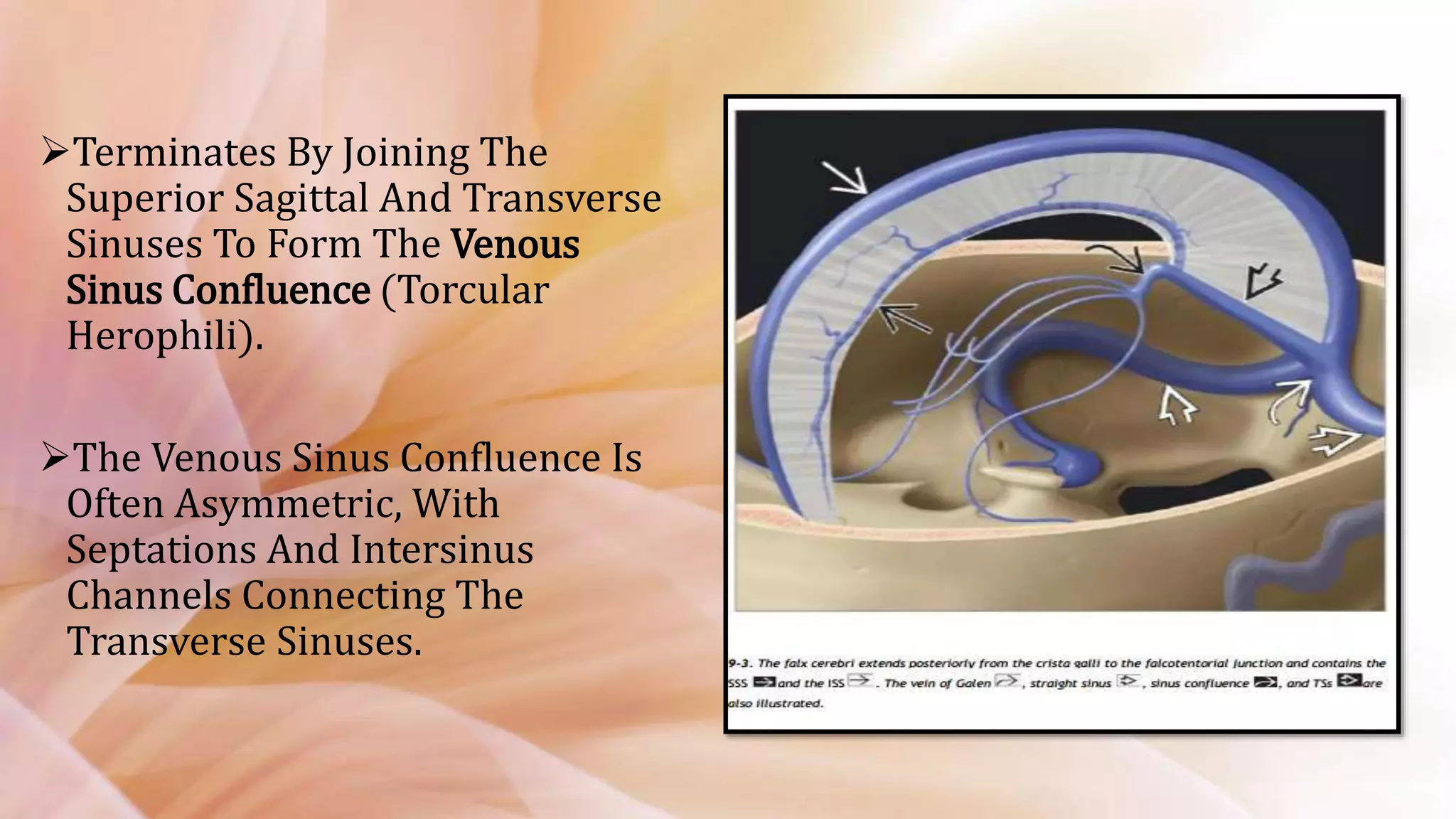 Radiologic Venous Anatomy of Brain | PPTX