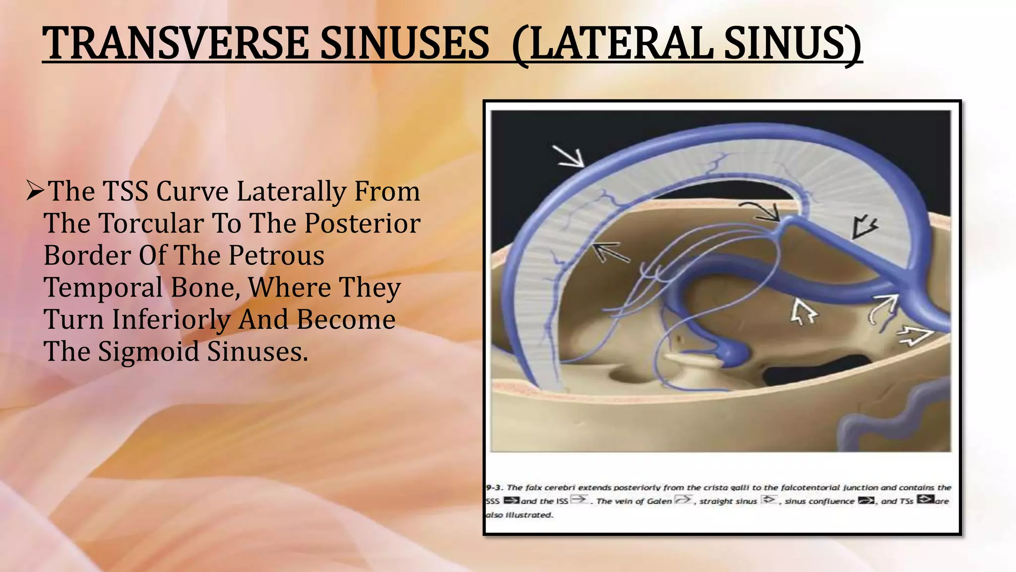 Radiologic Venous Anatomy of Brain | PPTX