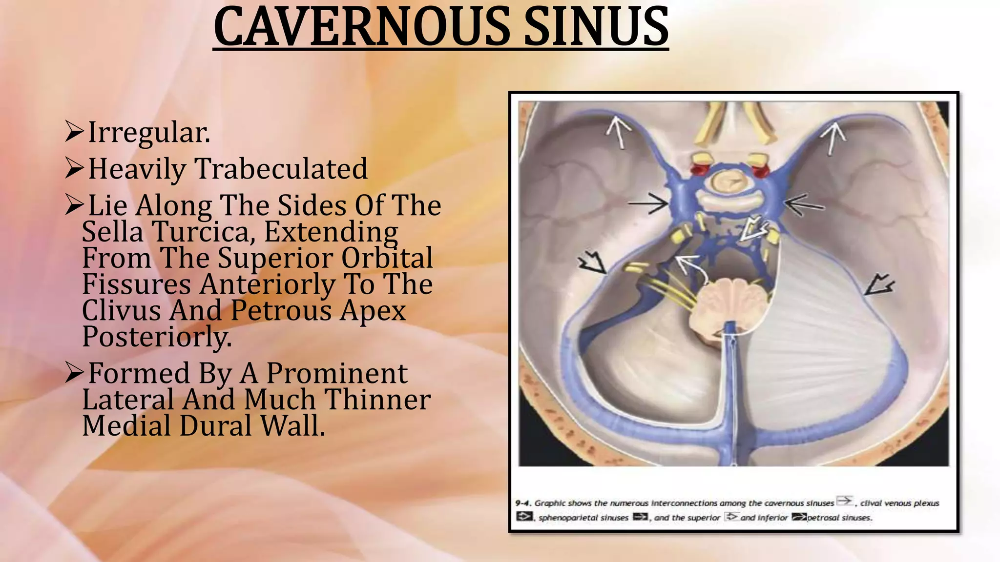 Radiologic Venous Anatomy of Brain | PPTX