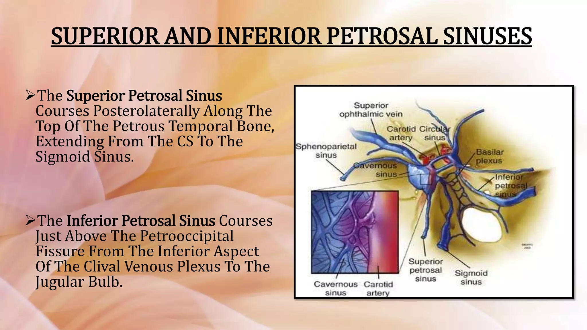 Radiologic Venous Anatomy of Brain | PPTX