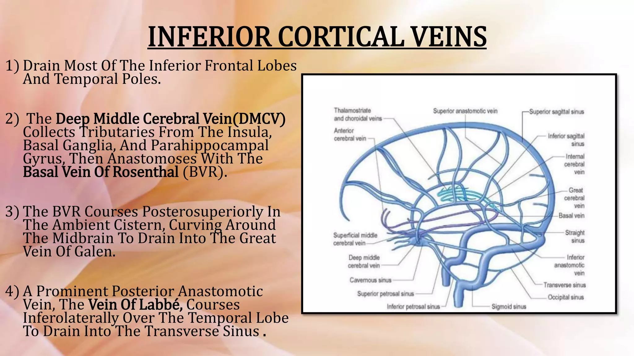 Radiologic Venous Anatomy of Brain | PPTX