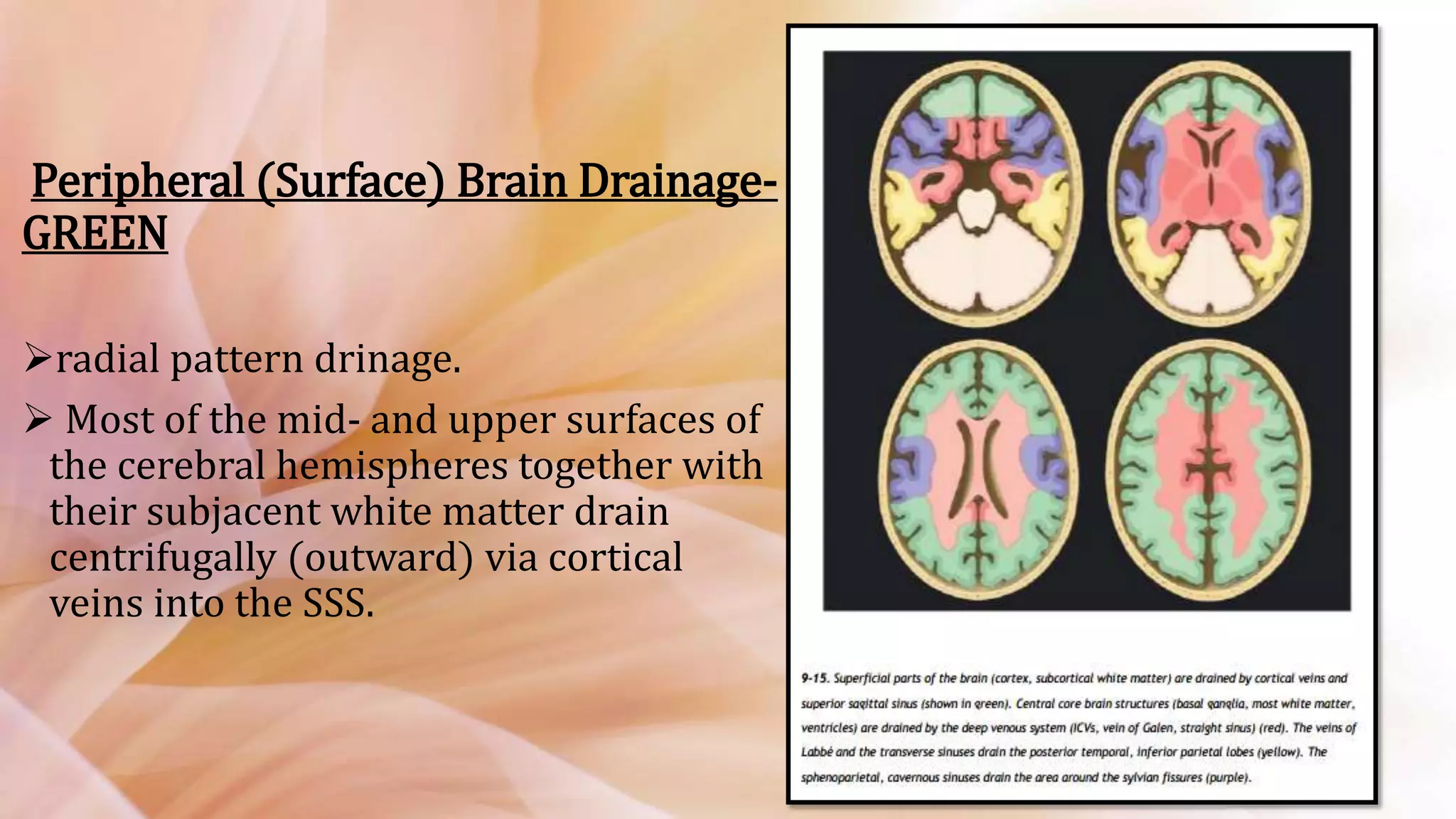 Radiologic Venous Anatomy of Brain | PPTX