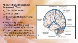 Radiologic Venous Anatomy of Brain | PPTX
