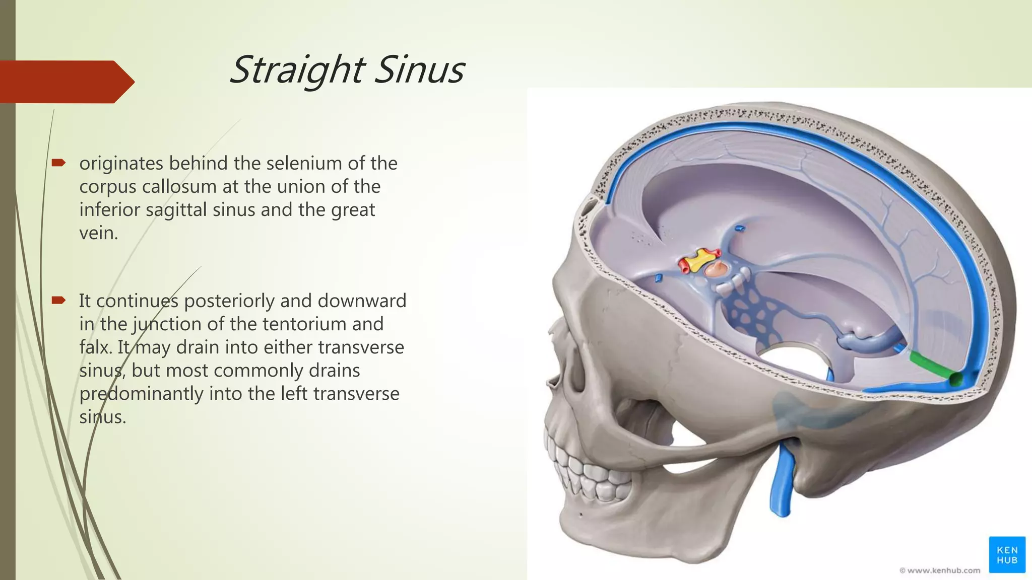 Venous anatomy of the brain | PPTX