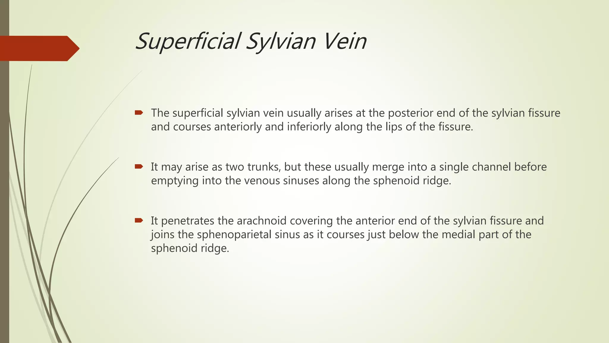 Venous anatomy of the brain | PPTX