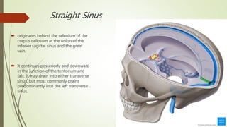 Venous anatomy of the brain | PPTX