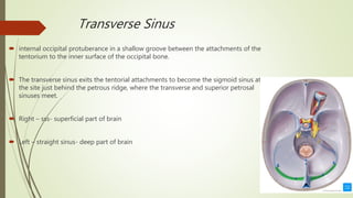 Venous anatomy of the brain | PPTX