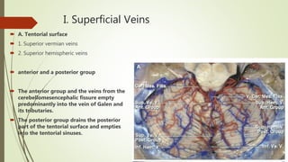 Venous anatomy of the brain | PPTX