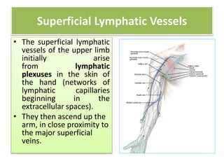 venous and lymphatic drainage of upper limb.pptx