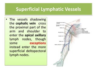 venous and lymphatic drainage of upper limb.pptx