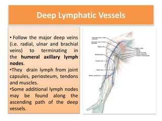 venous and lymphatic drainage of upper limb.pptx