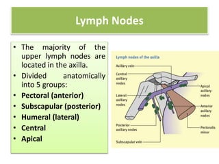 venous and lymphatic drainage of upper limb.pptx