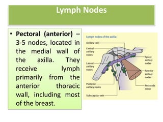 venous and lymphatic drainage of upper limb.pptx