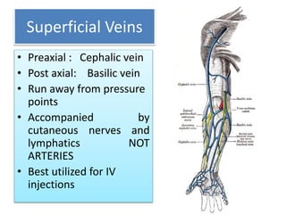 venous and lymphatic drainage of upper limb.pptx