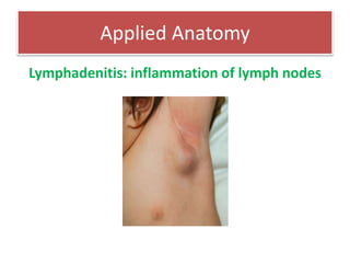 venous and lymphatic drainage of upper limb.pptx
