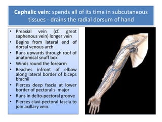 venous and lymphatic drainage of upper limb.pptx