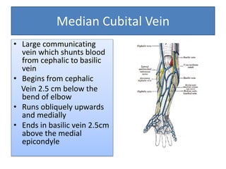 venous and lymphatic drainage of upper limb.pptx