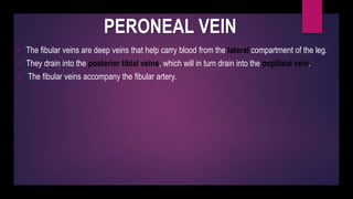 Venous and lymphatic drainage of lower limb | PPTX