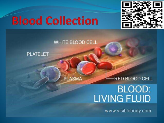 Venous blood coolection | PPT